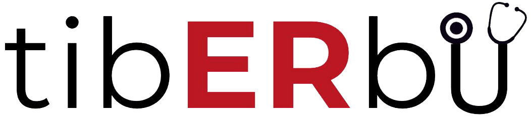 Tiberbu Logo